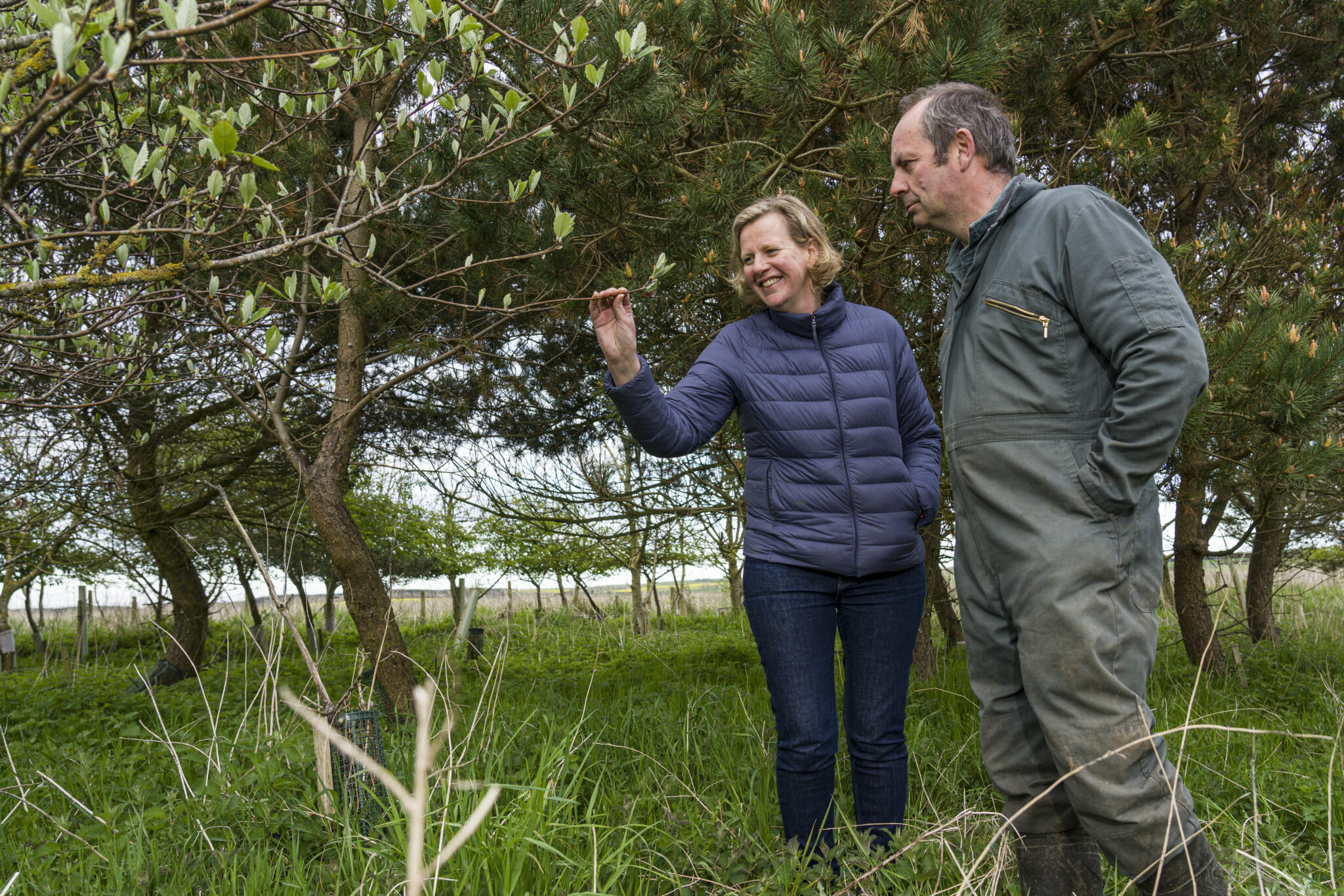A royal reception for our new Trees on Farm guide - The Royal ...
